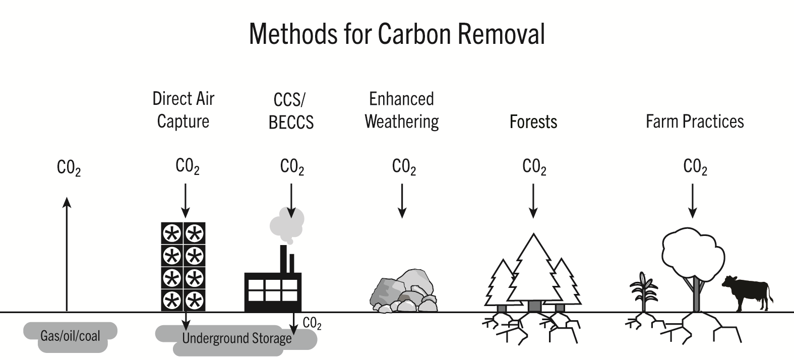 Carbon Removal - From Knowledge to Power (K2P)