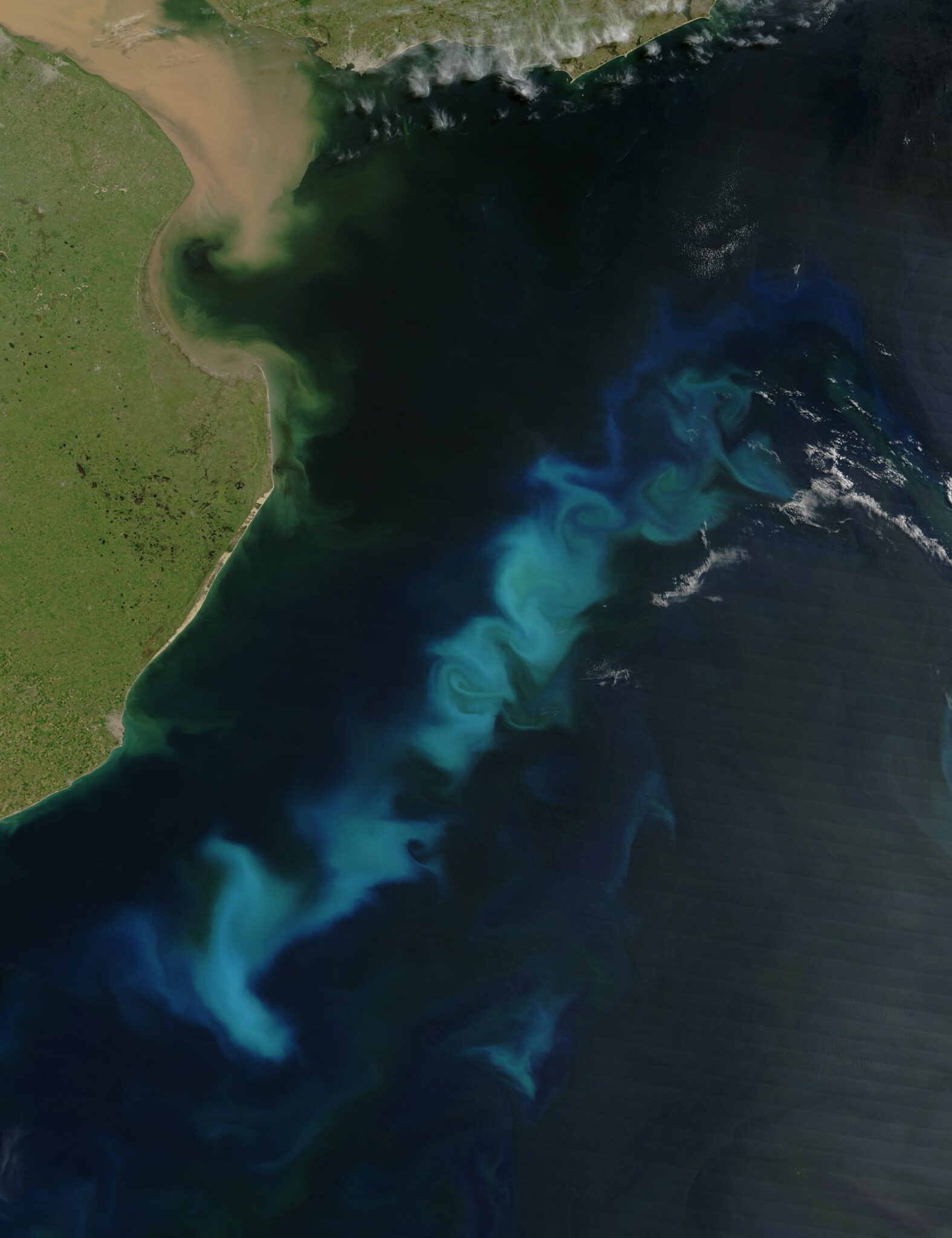 Ocean Iron Fertilization - From Knowledge to Power (K2P)